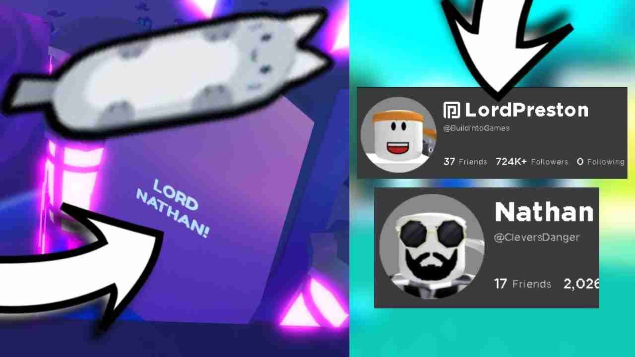 LORD NATHAN CODE CAT HOVERBOARD! PET SIMULATOR X | KIVIAC